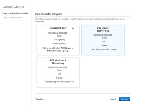 aws ecs cluster using the ec2 launch type