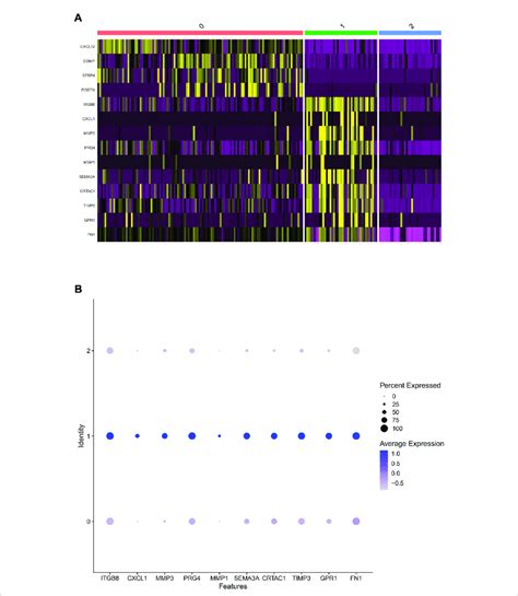 Selection Of Considerably Divergent Biomarker Genes Within Tsne Download Scientific Diagram