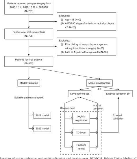Figure 1 From Predicting The Occurrence Of Stress Urinary Incontinence