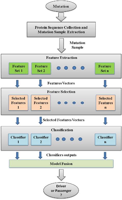 Figure 1 From A Multi Model Based Approach For Driver Missense Identification Semantic Scholar