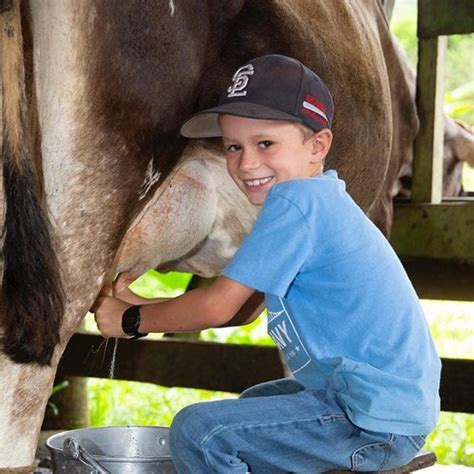 කිරි ගොවියා Facebook