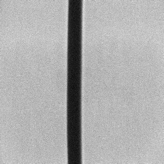 B Cross Section SEM Of A Trench Of 50 Nm Nominal Width After FIB Cut Download Scientific Diagram