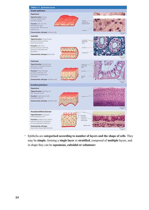 From Molecules To Ecosystems Guide Biol1007 From Molecules To Ecosystems Usyd Thinkswap