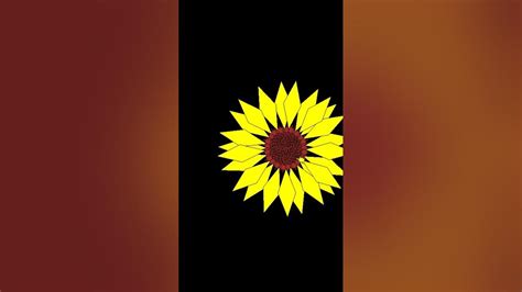 ¿cómo Dibujar Un Girasol Con Python Python Programminglanguage Computerlanguage Girasoles