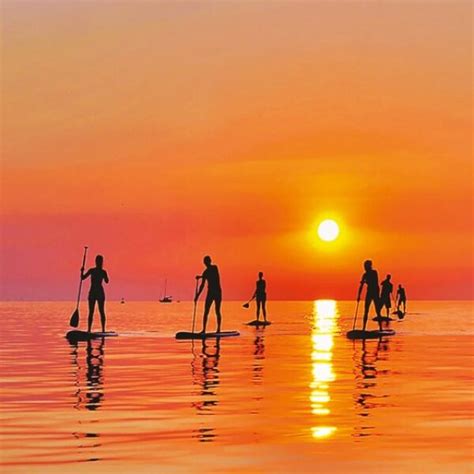 Paddle Boards At Sunset A B Snell And Son