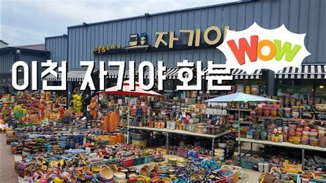 이천 자기야 옥천도요다육키우기옥상다육걸이대다육succulent Youtube