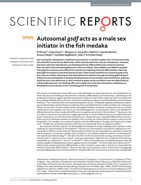 PDF Autosomal Gsdf Acts As A Male Sex Initiator In The Fish Medaka