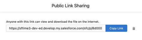 using flow to generate public urls for files salesforce time