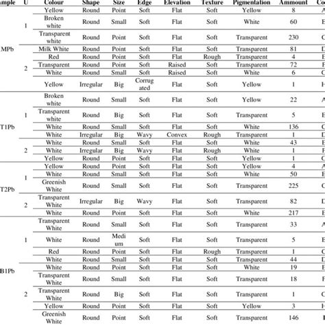Bacterial Isolates From Exploration Download Scientific Diagram