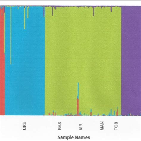 Bayesian Clustering Obtained Using Structure 27 Based On 19