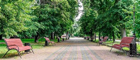Urban Trees And Their Impact On The Power Grid The Challenges Of Adverse Weather Conditions