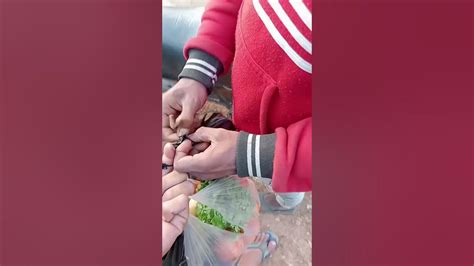 Part 1 Block Youtube