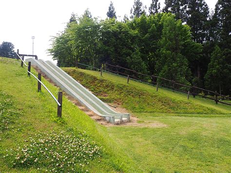 トキっ子スタッフ調査隊長岡市大杉公園に行ってみましたトキっ子くらぶ にいがた子育て応援団グローカルマーケティング