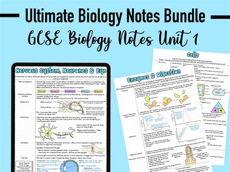 Gcse Biology Notes Unit 1 Etsy