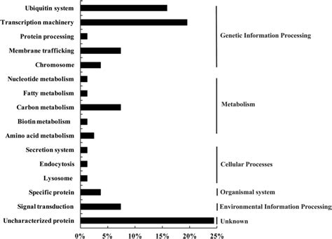 Functional Distribution Of The 82 Candidate Reference Genes As Download Scientific Diagram