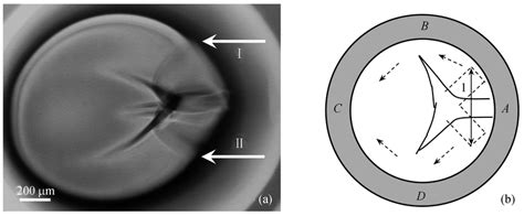 A The Oscillatory Thermocapillary Flow Pattern B The Schematic Download Scientific Diagram