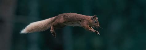 Pci Dss Compliance Support Evolve North