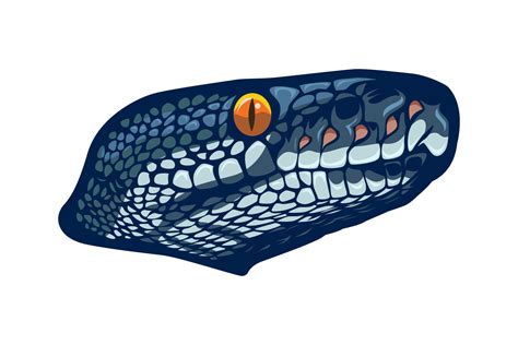Ball Python Head Vector Illustration Logo 18969463 Vector Art At Vecteezy