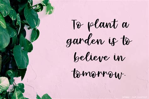 Bolabos Script Font Beck McCormick Font Designer