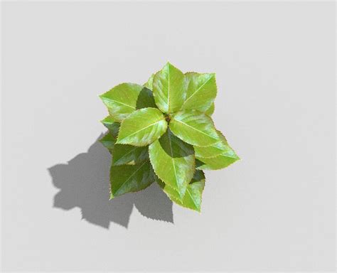 낮은 폴리 플랜트 3d 모델 6 3ds Blend Dae Fbx Obj Free3d
