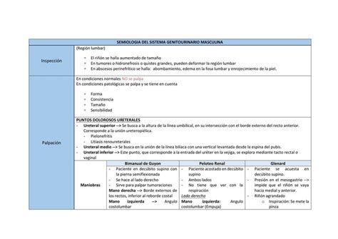 Semiologia Del Sistema Genitourinario Masculina Alejandra Udocz