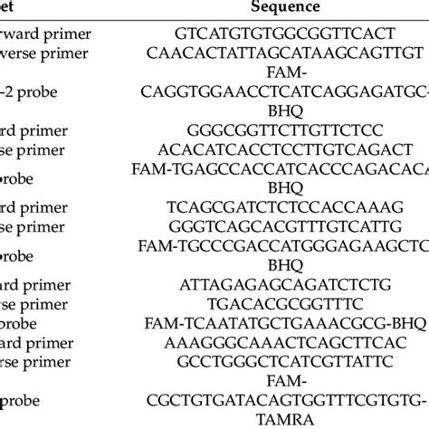Primers And Probes Used To Detect Viral Rna Download Scientific Diagram
