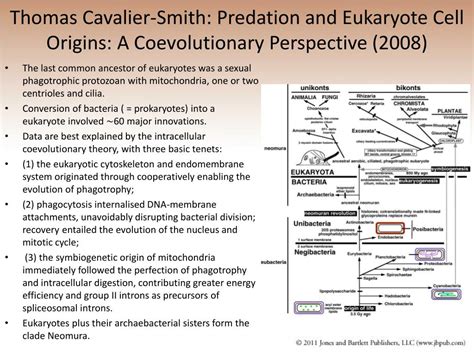 Ppt Chapter 8 From Single Celled Organisms To Kingdoms Powerpoint