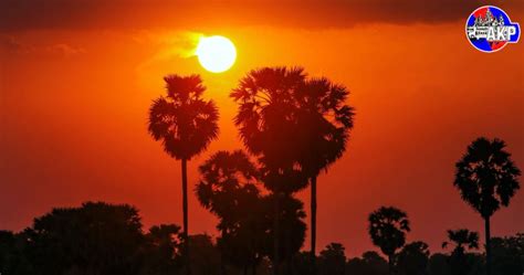 រូបថតប្រចាំសប្តាហ៍៖ ទស្សនីយភាពថ្ងៃលិច លើចុងត្នោត ដ៏ស្រស់ស្អាត ក្រសួងព័ត៌មាន