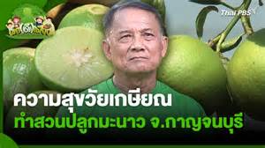 ขยายผลคดี จนท เขตราชเทวีเรียกรับเงินกว่า 3 ล้านบาท Thai Pbs News ข่าวไทยพีบีเอส