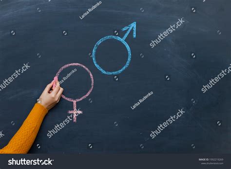 Gender Symbols Signs Male Female Sex Stock Photo 1592219269 Shutterstock