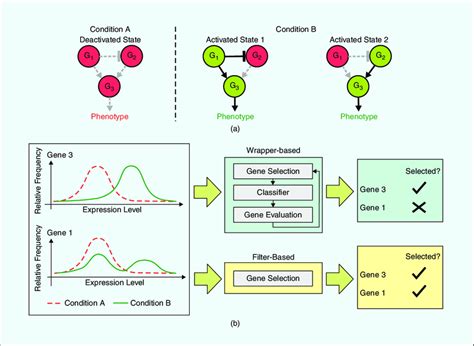 Wrapper Based Versus Filter Based Gene Selection Methods Download