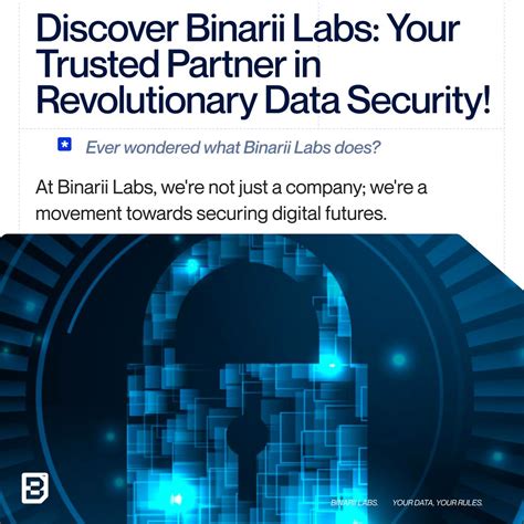 Binarii Labs On Linkedin Binariilabs Datasecurity
