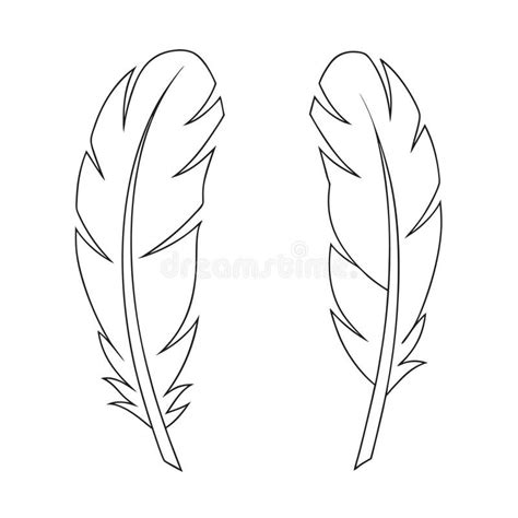 Minimalist Feather Outline Vector Illustration Stock Illustration Illustration Of Editing