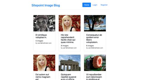 Building An Image Gallery Blog With Symfony Flex The Setup — Sitepoint