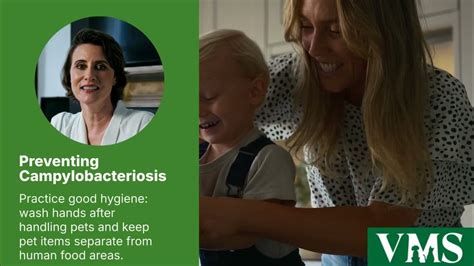 Campylobacteriosis Youtube