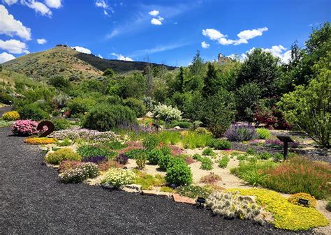 Creating A Fire Resistant Landscape Plant Selectplant Select