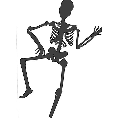 Skeleton Png