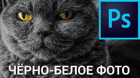 Как в Photoshop сделать фотографию чёрно белой 2 способа обесцветить изображение в Фотошопе