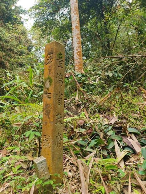 苗栗獅潭 公館 樟之細路 沖庫山 新田山 新石門山 八角崠山 健行筆記