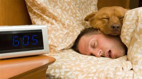 Artikel Kesehatan Seputar Tips Pola Tidur Sehat Hello Sehat