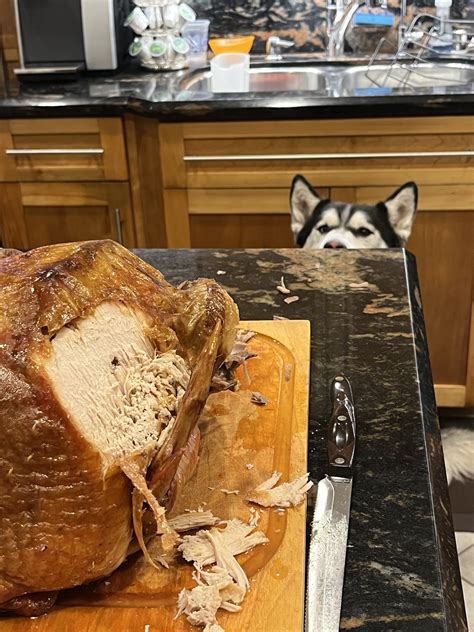 Happy Thanksgiving Album On Imgur