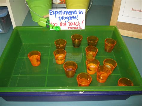 Third Grade Thinkers Spooky Science A Matter Experiment