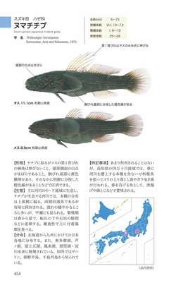 ヌマチチブ ほか動物 図鑑 jp