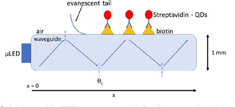 Figure 1 From Microled Biosensor With Colloidal Quantum Dots And Smartphone Detection Semantic