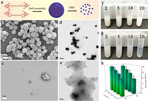 Stimuli Responsive Nanoparticles A Scheme Of The Self Assembly Of