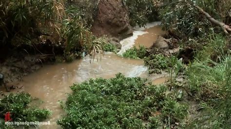 Camping Trip Gone Wrong Hcg Charity Bangs Eporner