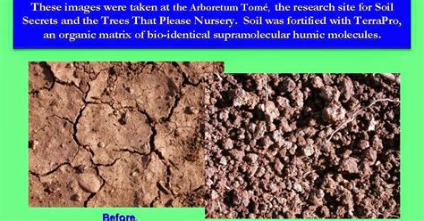 Soil Secrets