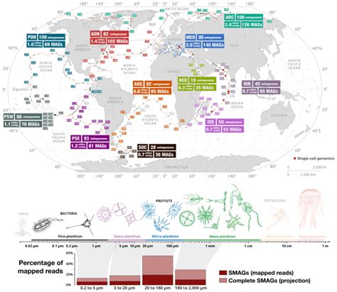 A Genome Resolved Metagenomic Survey Dedicated To Eukaryotes In The