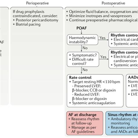 Conceptual Model Of Postoperative Atrial Fibrillation Postoperative Download Scientific