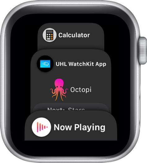 Watchos With Swiftui By Tutorials Chapter 5 Snapshots Kodeco